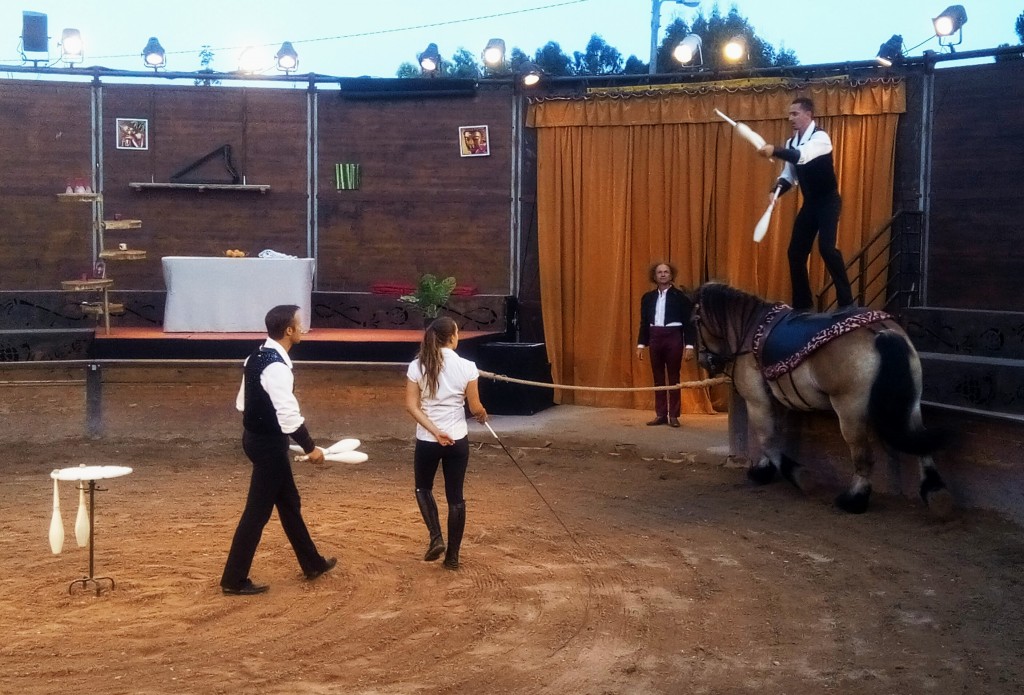Volia : superbe spectacle de théâtre équestre à Nice - Nice Weekend ou ...